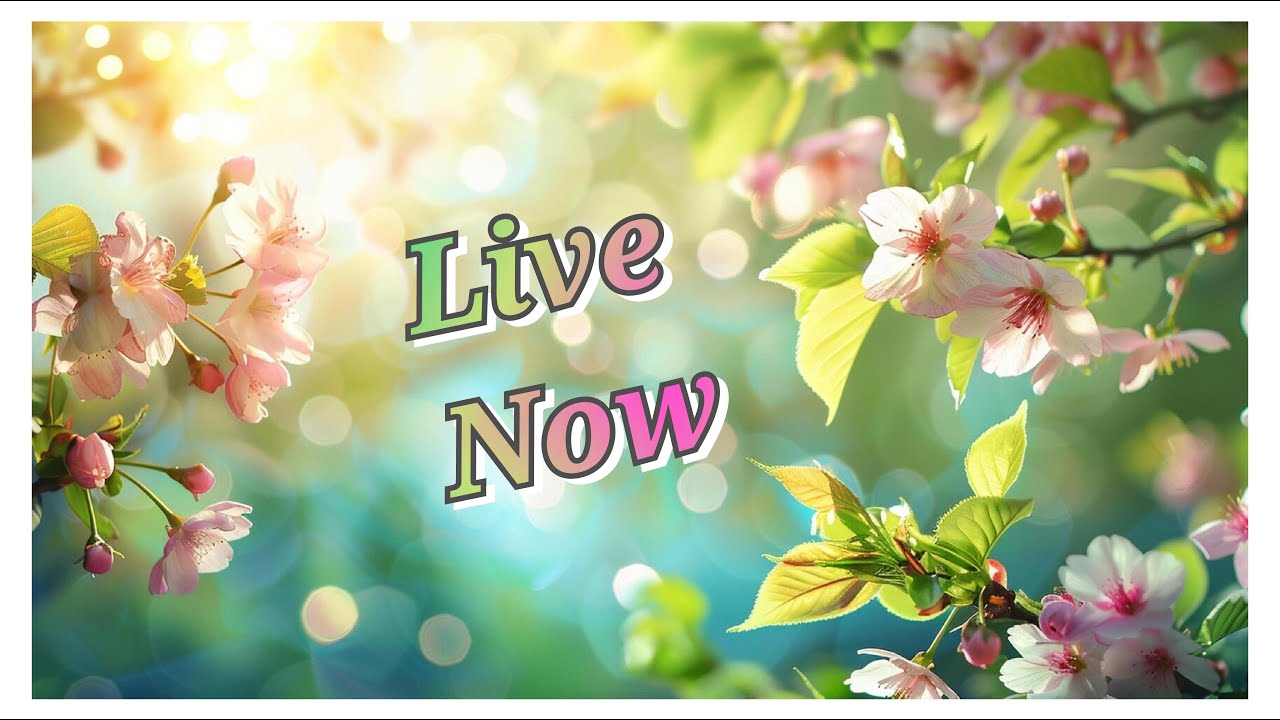 Tejpal Singh & Harnoor Kaur - YouTube