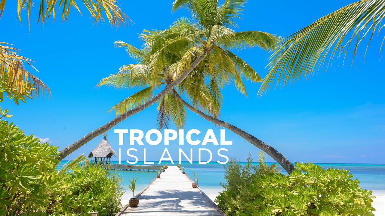 5 Fun Facts About Tropical Island! 🌴🌊 - YouTube