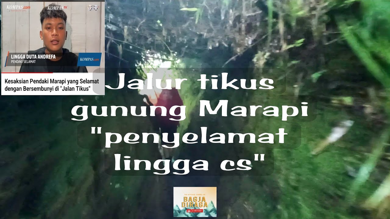Jalur tikus gunung Marapi, tempat pendaki Riau sembunyi dari ERUPSI ‼️ ...