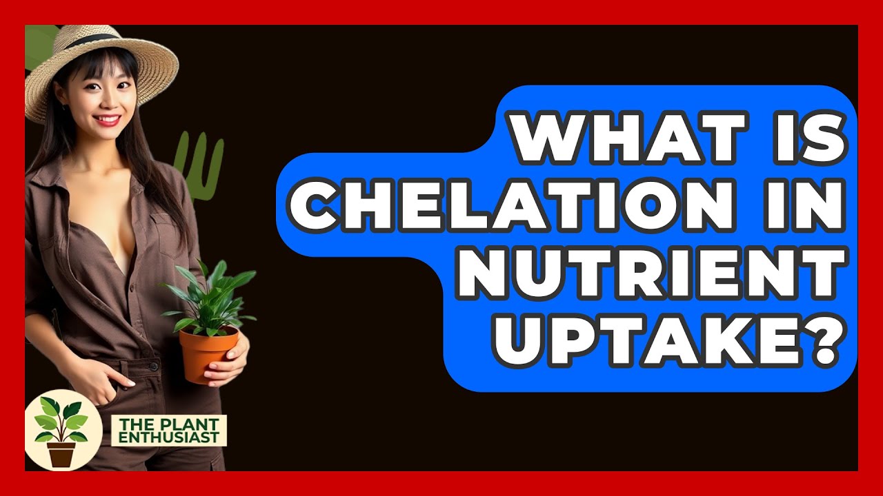 What Is Chelation In Nutrient Uptake? - The Plant Enthusiast - YouTube