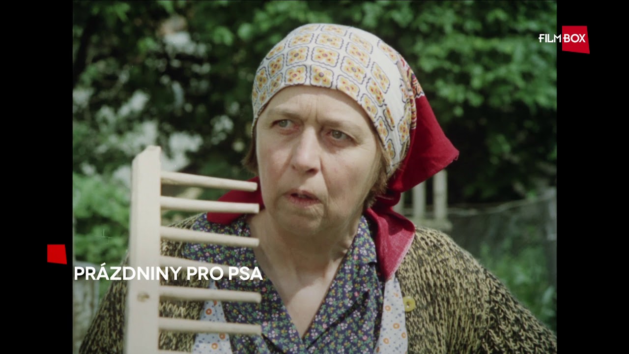 Prázdniny pro psa - YouTube