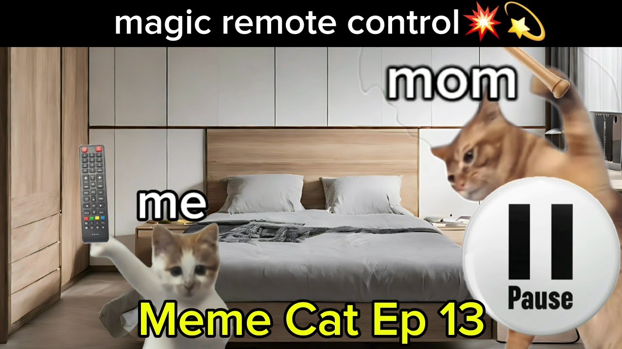 Magic Remote Control Meme Cat Ep 13 - YouTube