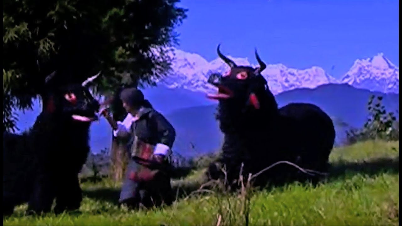 YAK DANCE IN SIKKIM || YAK CHHAM of SIKKIM, INDIA ... - YouTube