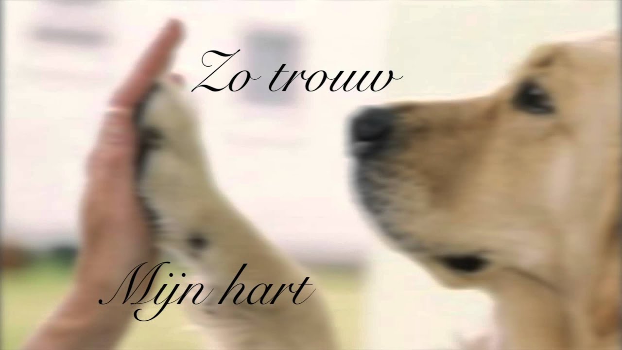 Die ene_Official Music Video - YouTube