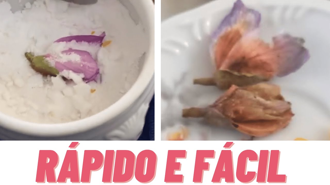COMO DESIDRATAR FLORES, FOLHAS E PLANTAS - FLORES DESIDRATADAS, FLORES ...