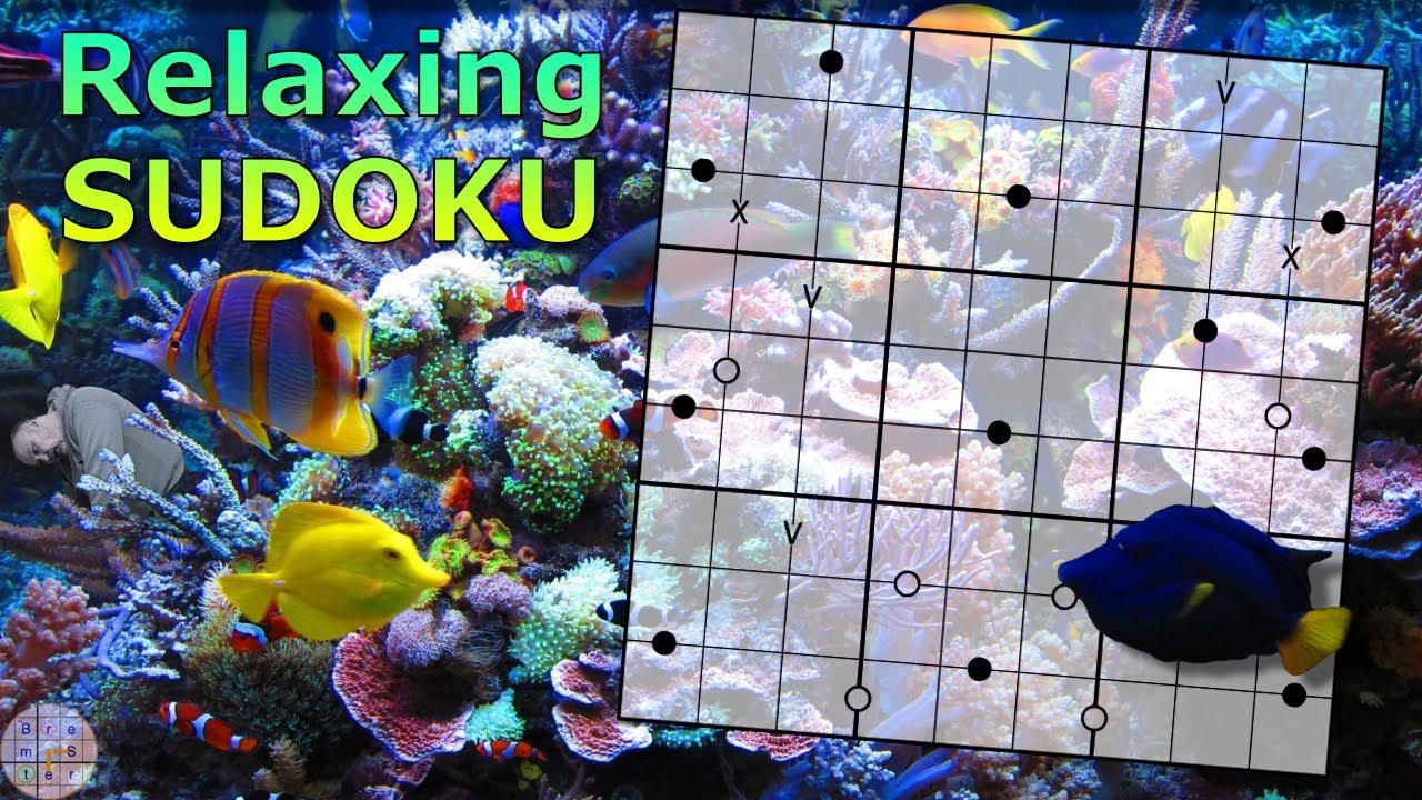 "Hello, and welcome to the middle of the Sudoku." - YouTube
