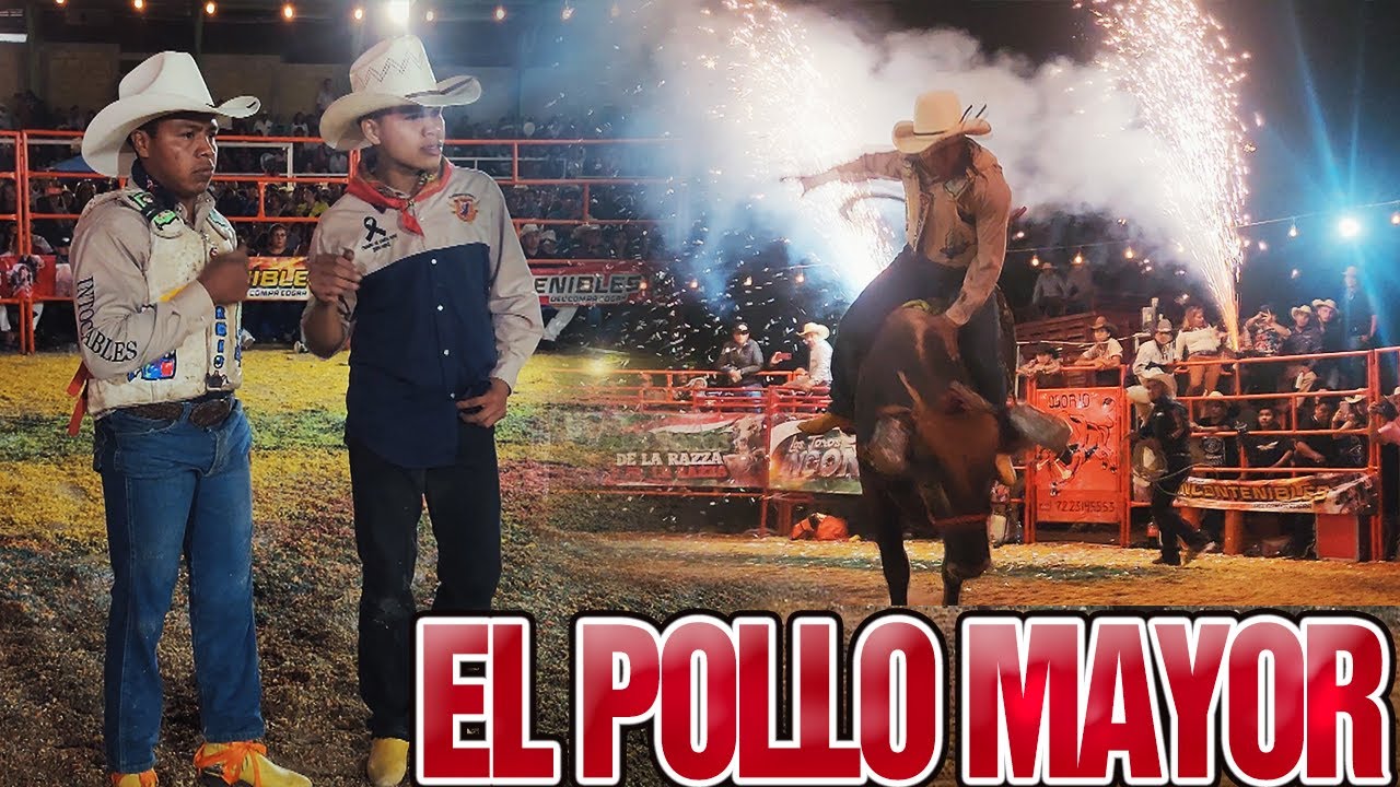 MINI POLLO CUIDANDO A SU HERMANO!!Pollo De Acapulco Vs Universo Rncho ...