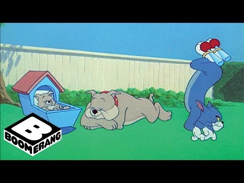 Tom and Jerry | Twinkle Toes | Boomerang Official