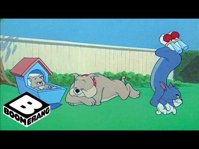 Tom Jerry And Spike Walking