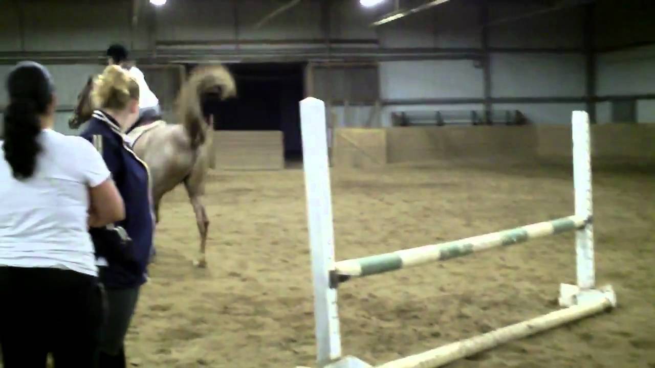 Amy & Geist ina jumping lesson_April 2011 - YouTube