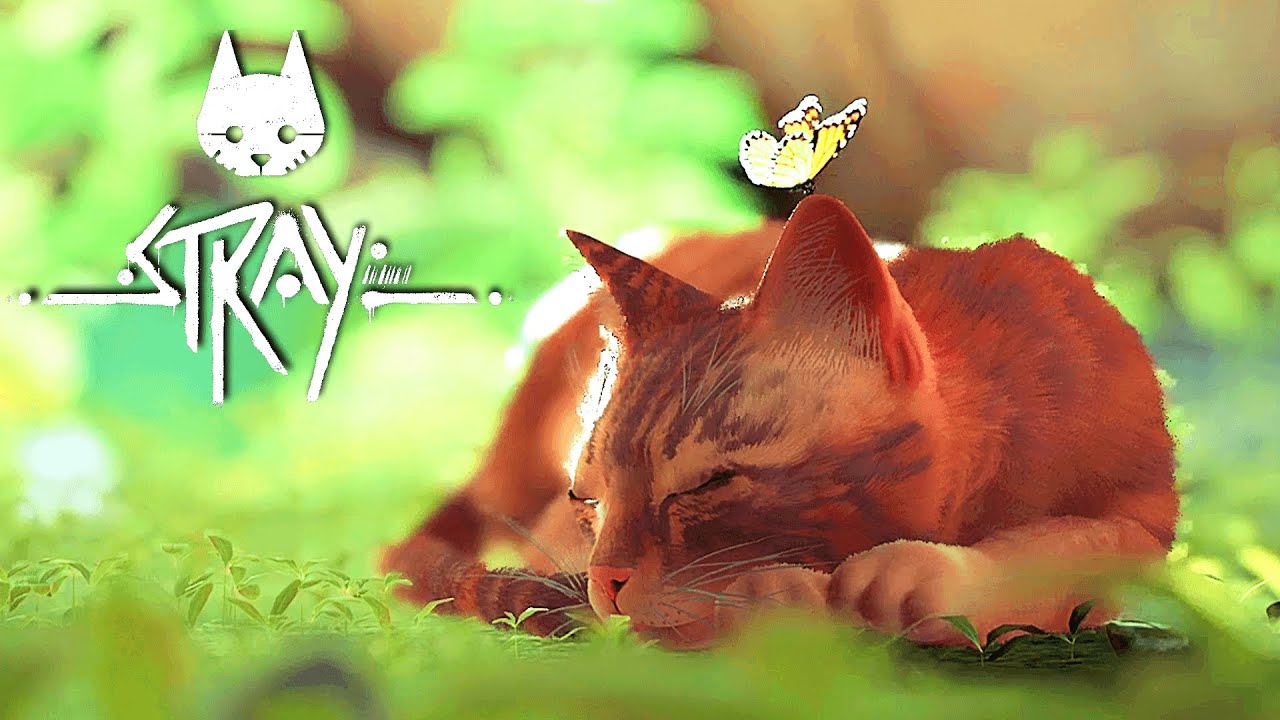 Stray | Full Game - YouTube
