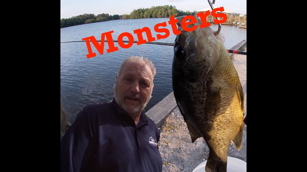Apache Pier Fishing at Myrtle Beach; Monsters Everywhere - YouTube