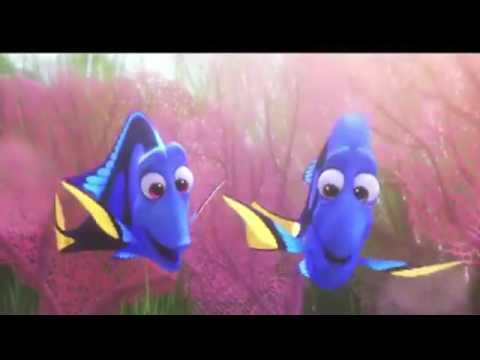 Baby Dory Fish Finding Dory - YouTube