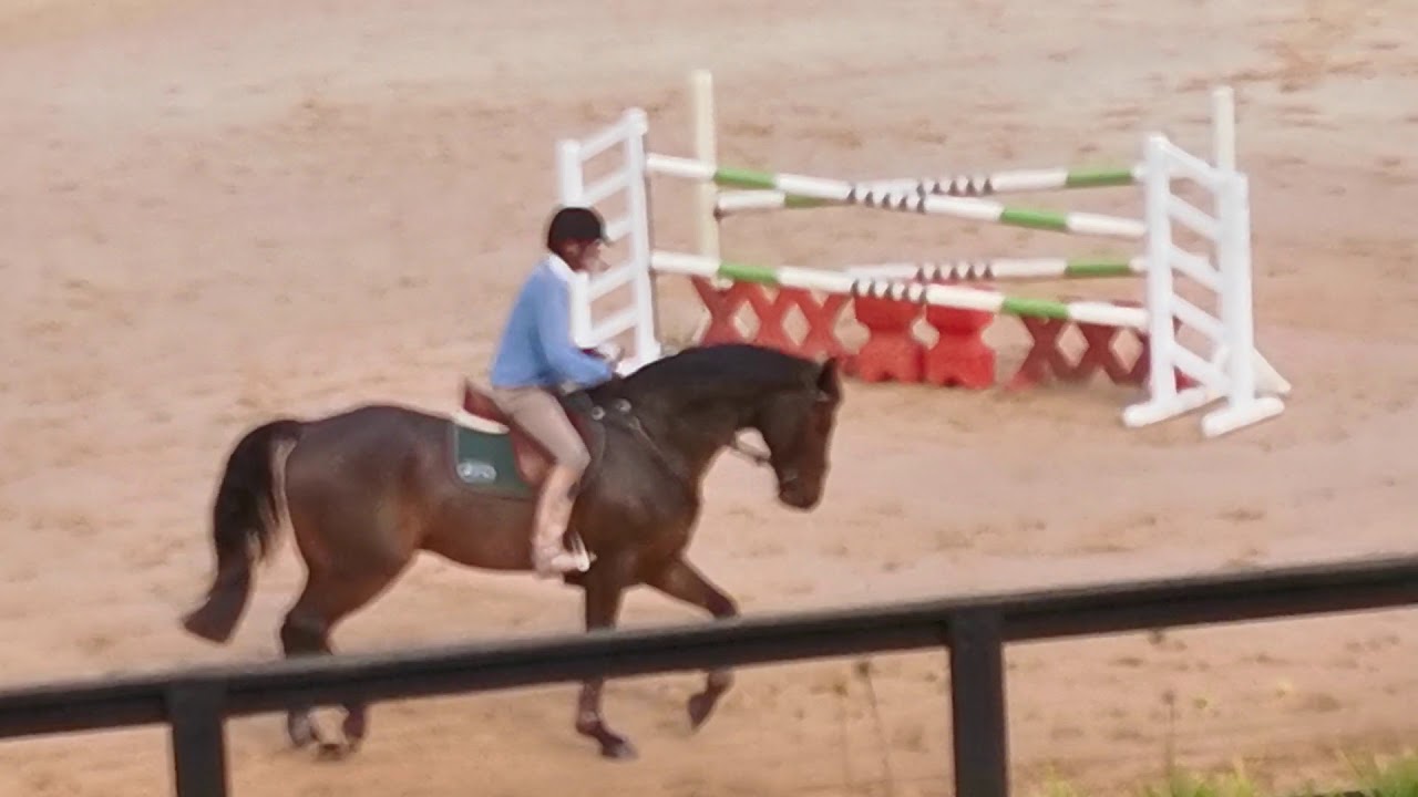 George Morris day 3 riding Levi - YouTube