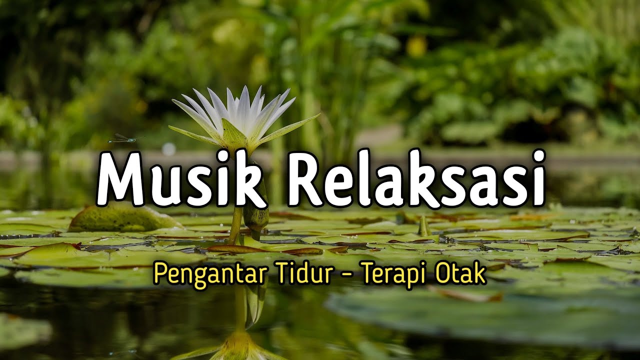 Musik Relaksasi Pengantar Tidur Terapi Otak - YouTube
