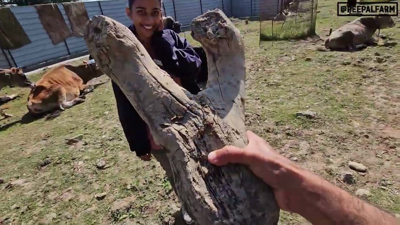 Gobar se 3D printing | Crafting Cow Dung Pots - YouTube