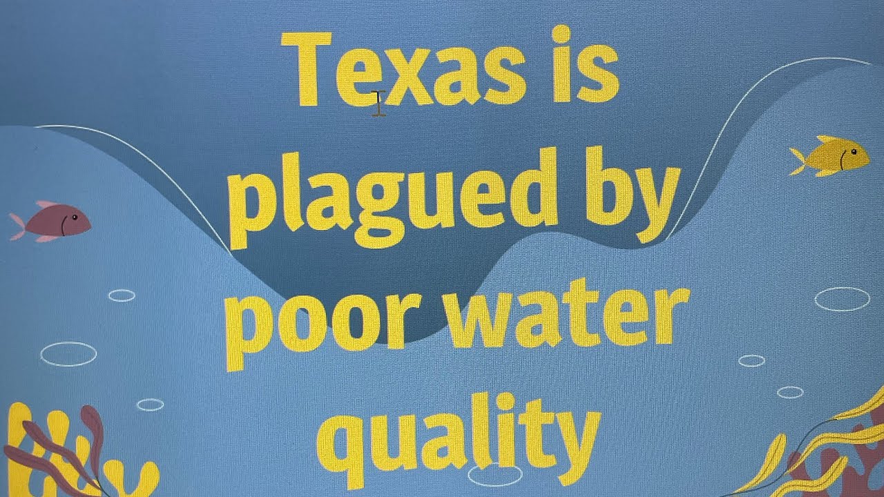 PSA-Texas Government - YouTube