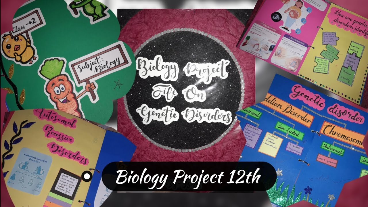 | Biology Project File on Genetic Disorders 12th | Creative Project ...