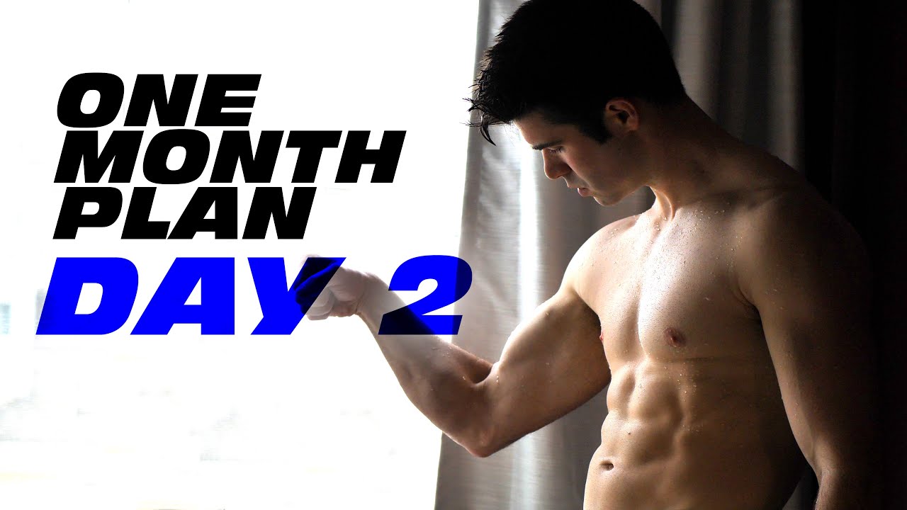 Day 2 - One Month Plan - Full Body Maximum Performance Workout - No Gym ...