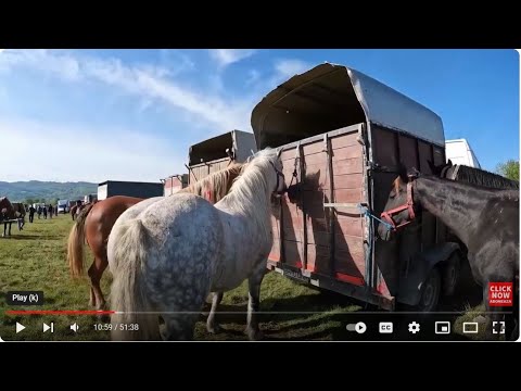 Targu de Cai de la Avrig - YouTube