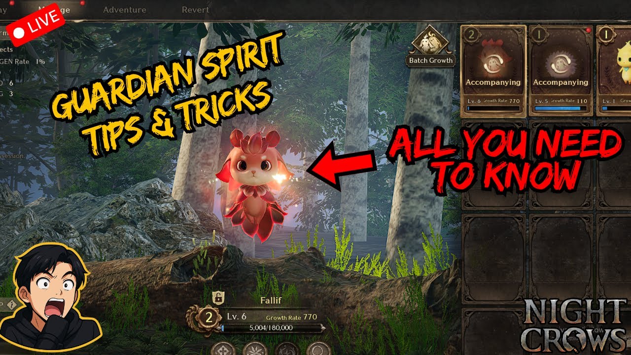 Night Crows New Update Guardian Spirit Guide, Tips and Tricks - YouTube