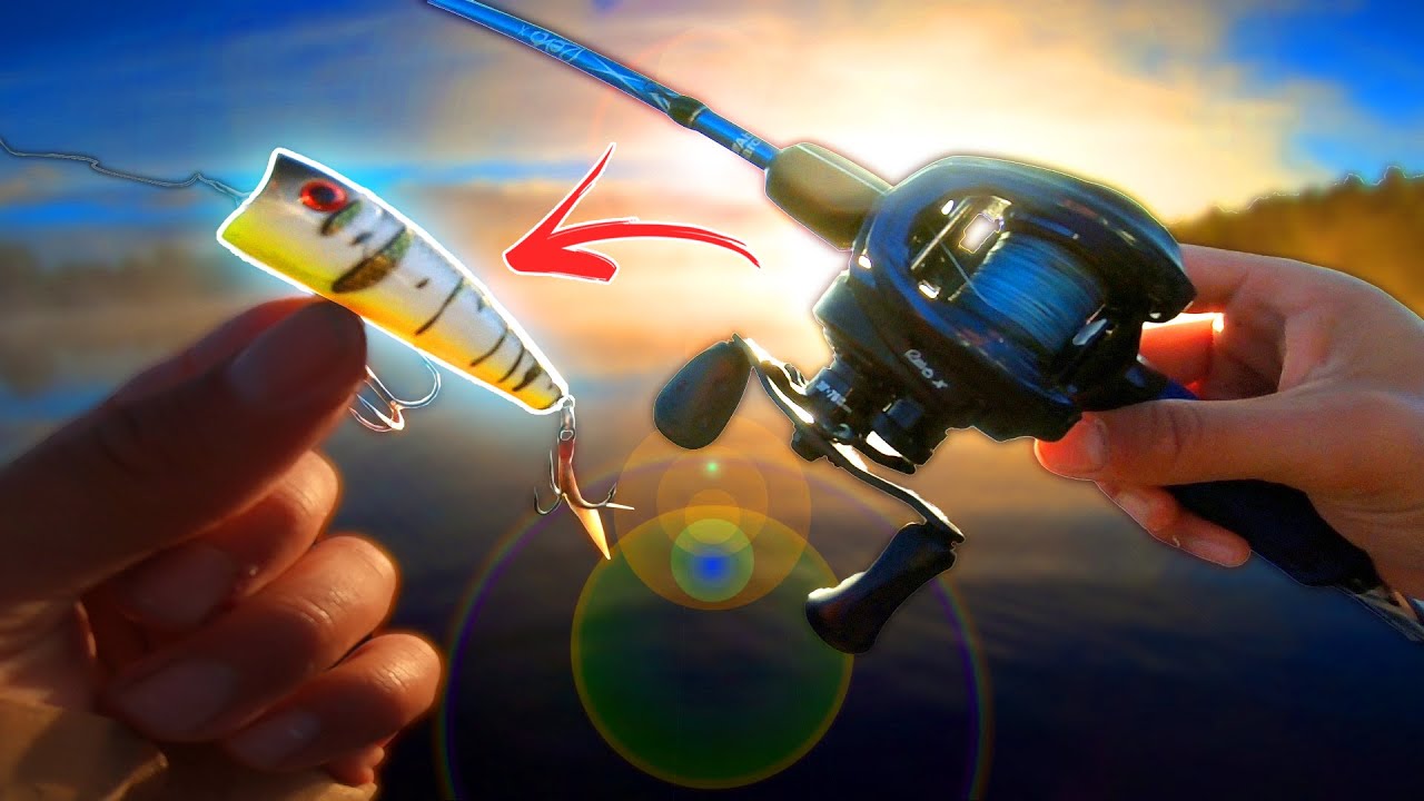 PERCH FISHING: 46 cm on Popper 🔥 (Topwater Madness!!!) - YouTube