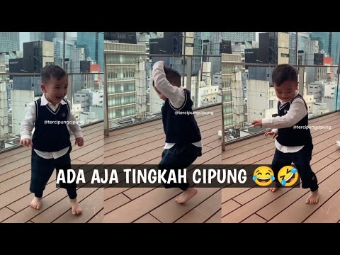 TINGKAH LUCU CIPUNG ASIK JOGET BIKIN NGAKAK 🤣😂 - YouTube