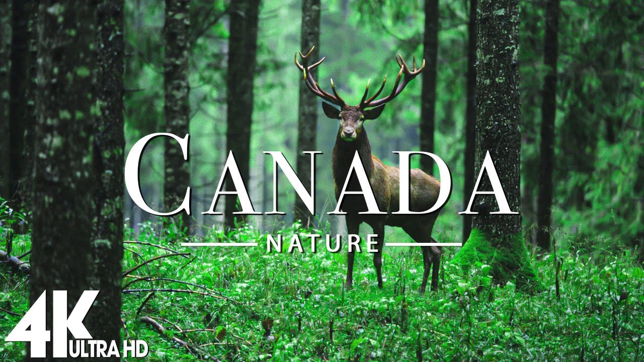 Canada 4K - Relaxing Music Along With Beautiful Nature Videos (4K Video ...