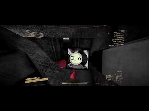 Why do I keep finding spiders [ Content Warning ] - YouTube