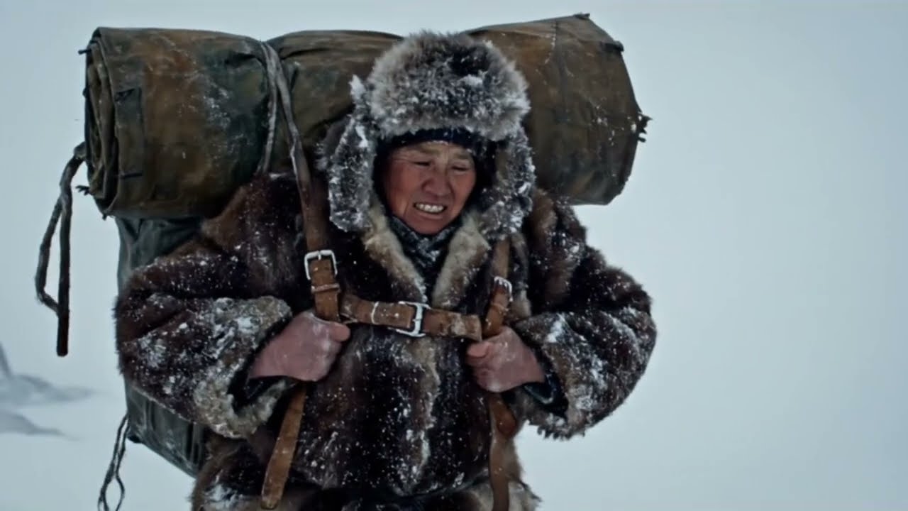 An Elderly Woman Rescued a Frozen Arctic Fox — Then Something ...