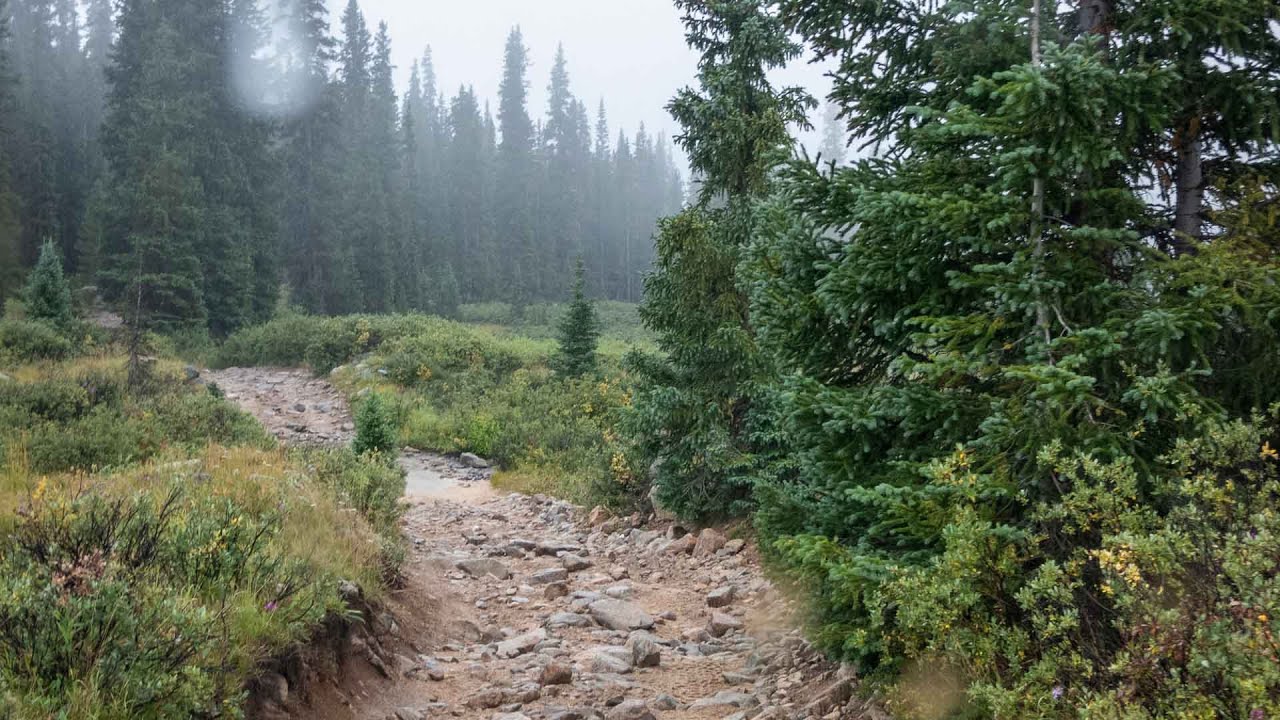 Taylor Pass Trail CO Aug'22 - YouTube