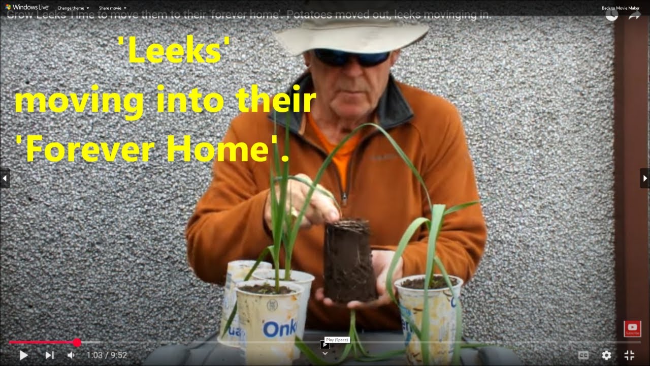 Grow Leeks Time to move them to their 'forever home'. Potatoes moved ...
