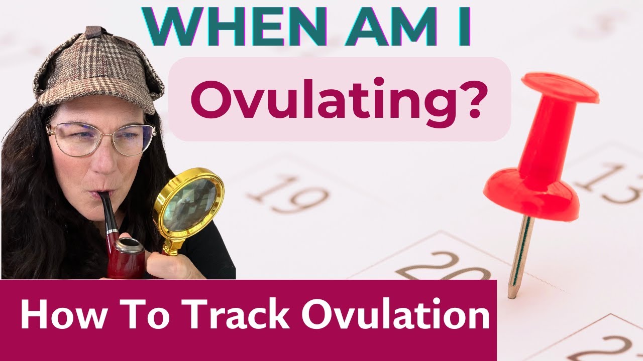 Get Pregnant FASTER with These Accurate Ovulation Cycle Tracking Tips ...