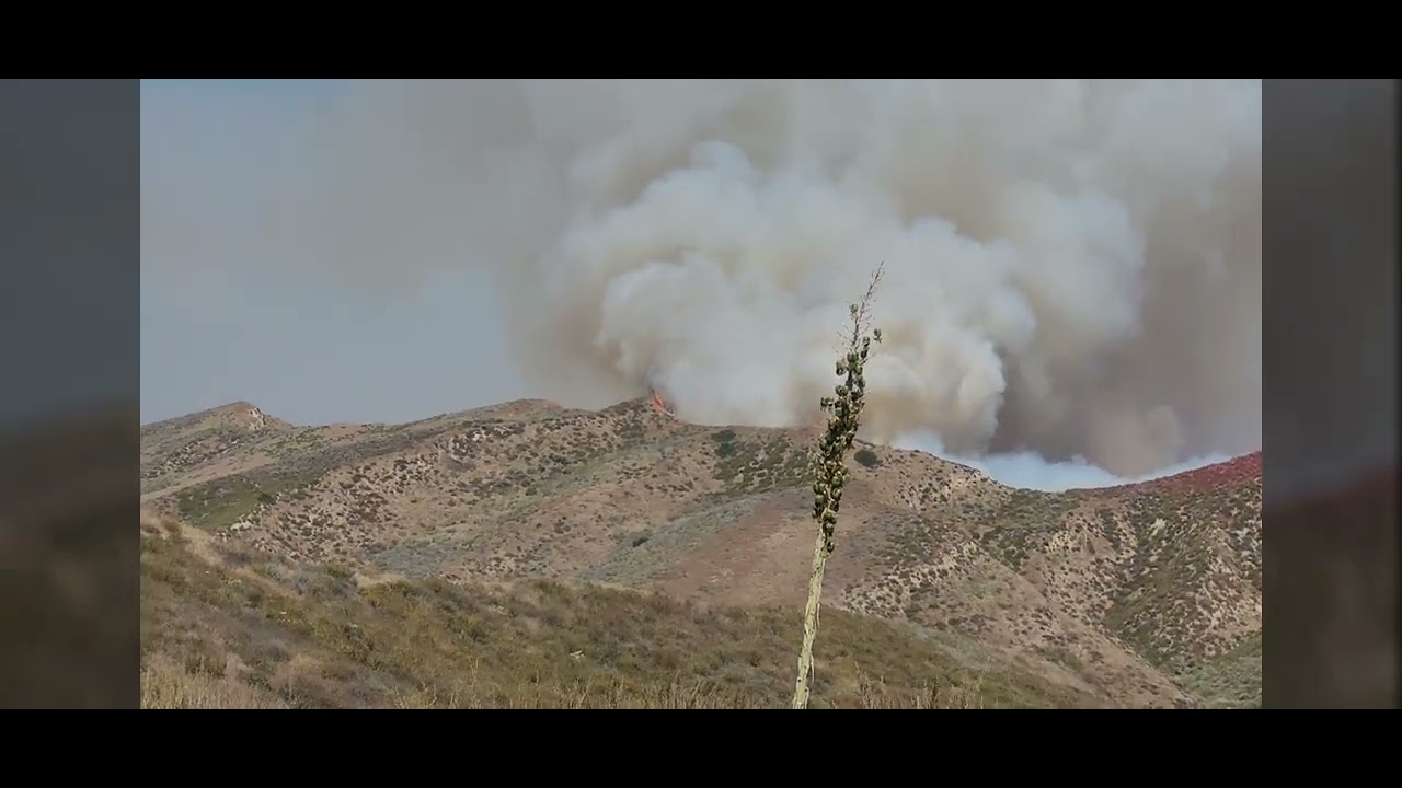 Simi Valley, California , July 3rd, 2024, Sharp and Sequoia Fires ...