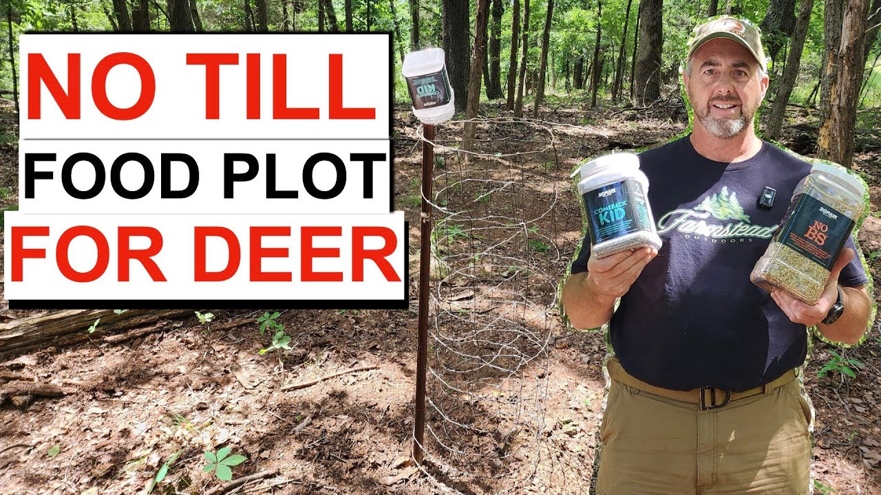 No Till Food Plot: For Deer in the Woods - YouTube