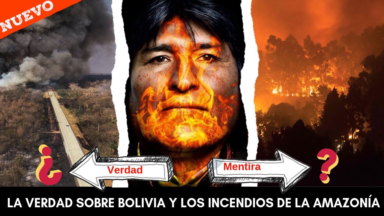 LA VERDAD SOBRE LOS INCENDIOS DEL AMAZONAS Y LO QUE SUCEDE EN BOLIVIA ...