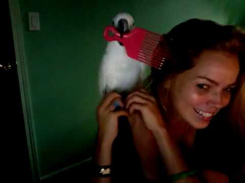 Candace Rae - YouTube