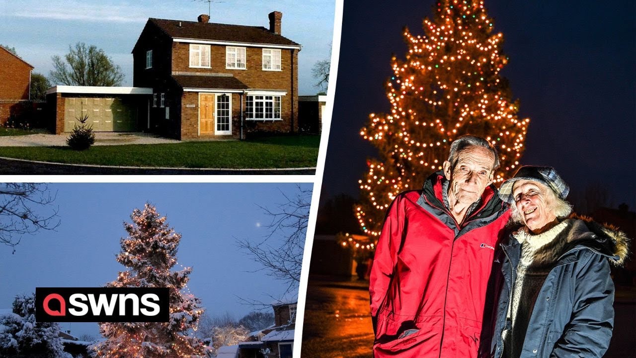 Couple's first Christmas tree they planted in 1978 now stands 50ft tall ...