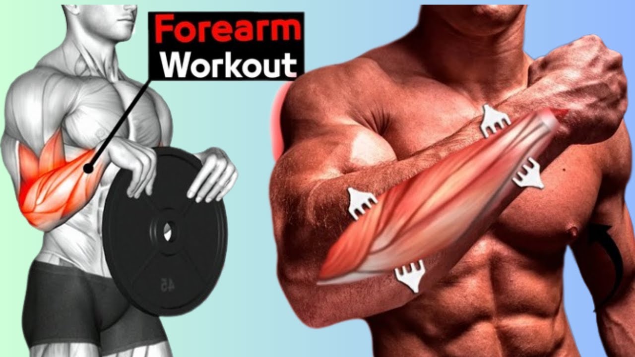 Exercises To Build Your Forearm Workout / Wrist | Health Fitness - YouTube