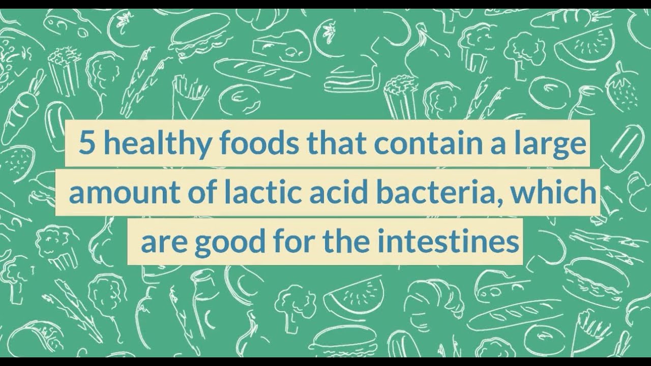 5 healthy foods that contain a large amount of lactic acid bacteria ...