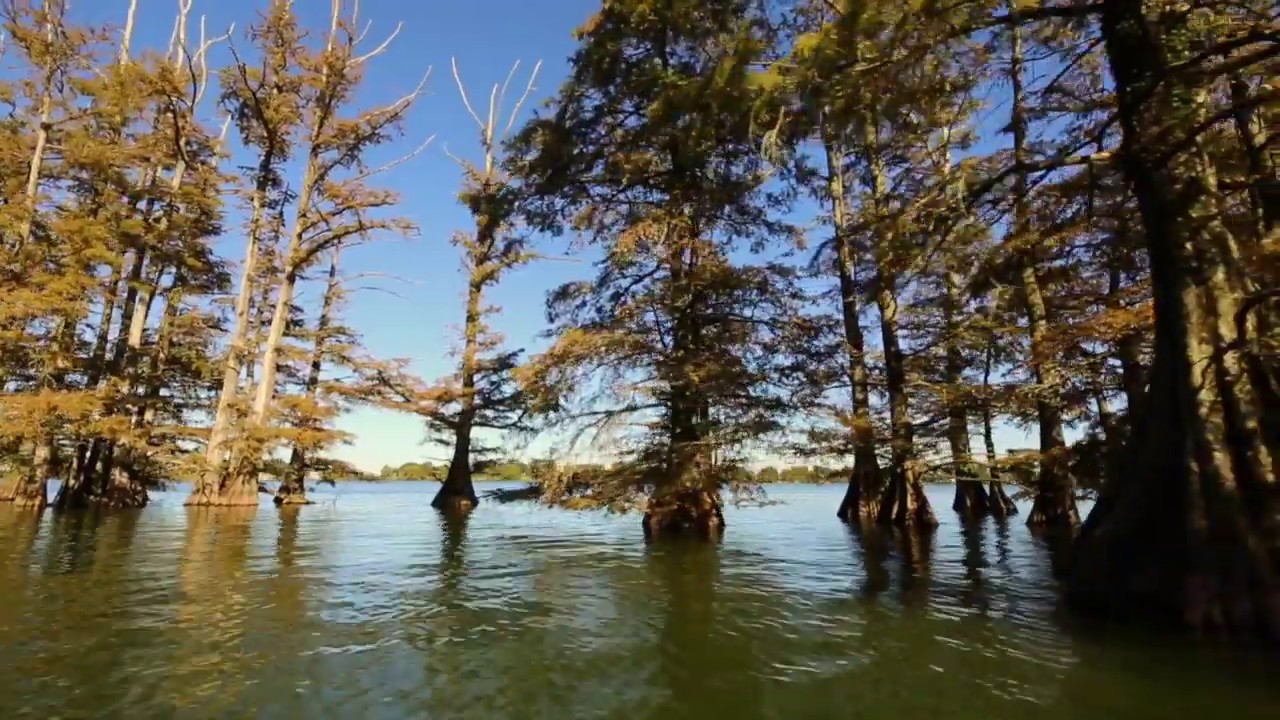 Location scout with Mississippi Boy Hank Burdine - YouTube