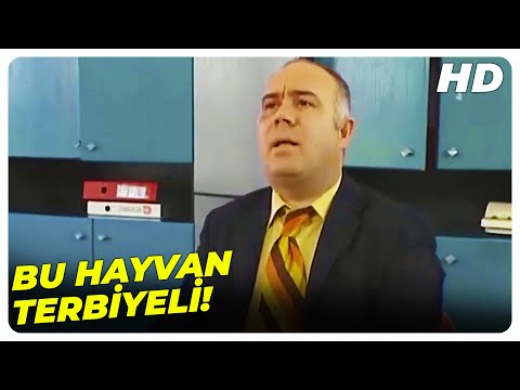 Isıran Köpek Kuduz Mu Bilmiyoruz! | Zor Adam Efsane Sahneler