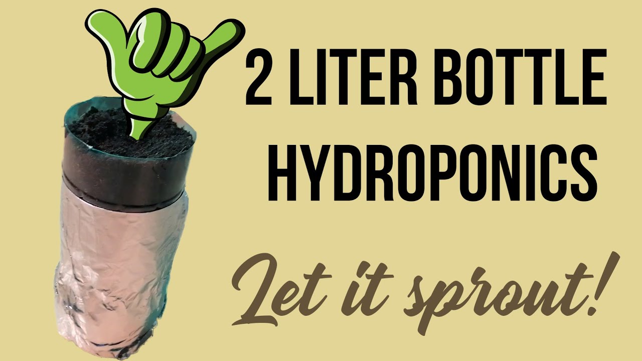 How To Make A : 2 Liter Bottle Hydroponics (self watering system for ...