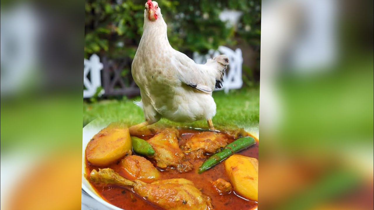 ধামসা আলু দিয়ে মুরগির মাংস ভুনা রেসিপি || easy chicken curry || Murgir ...