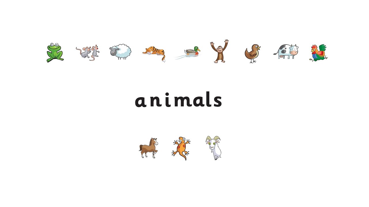 Animals for children ( Pre A1 Starters) - YouTube