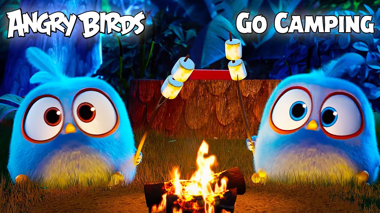 Angry Birds | Camping with the Birds - YouTube