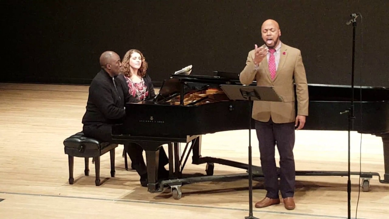 2017 African American Art Song Alliance:Roderick George sings HAILSTORK ...