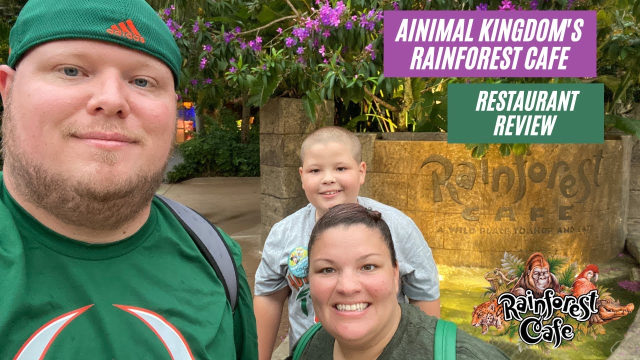Rainforest Cafe at Disney's Animal Kingdom | Dining Review - YouTube