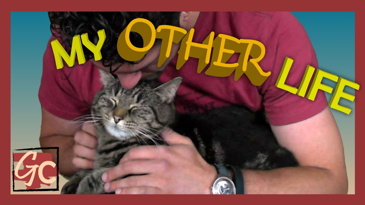 Why is my life like a cartoon cat? - YouTube