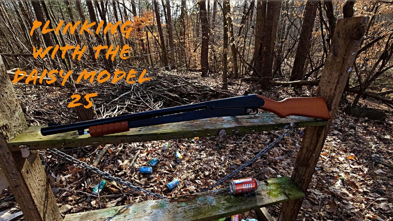 Plinking with The Daisy Model 25 - YouTube